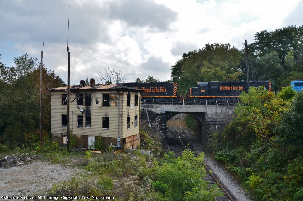 WE 3046 stares at the carnage.